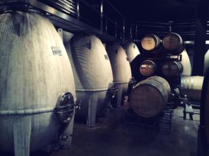La fermentation du vin : l’étape essentielle en vinification